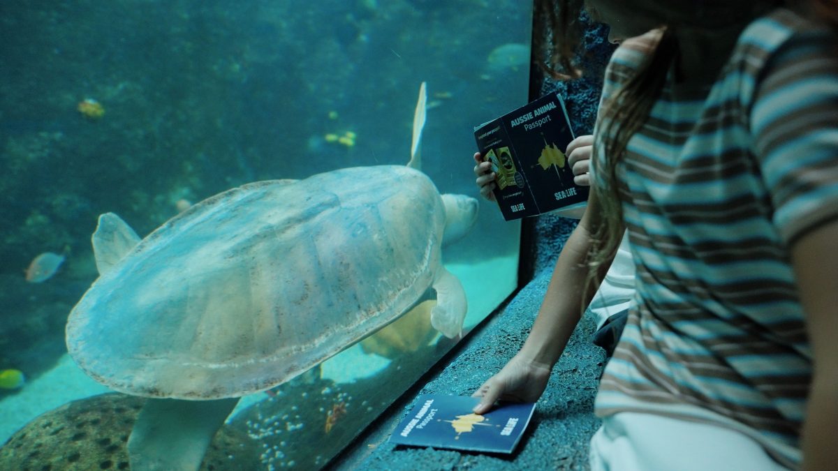Aussie Animal Passport Returns - DailyStraits.com